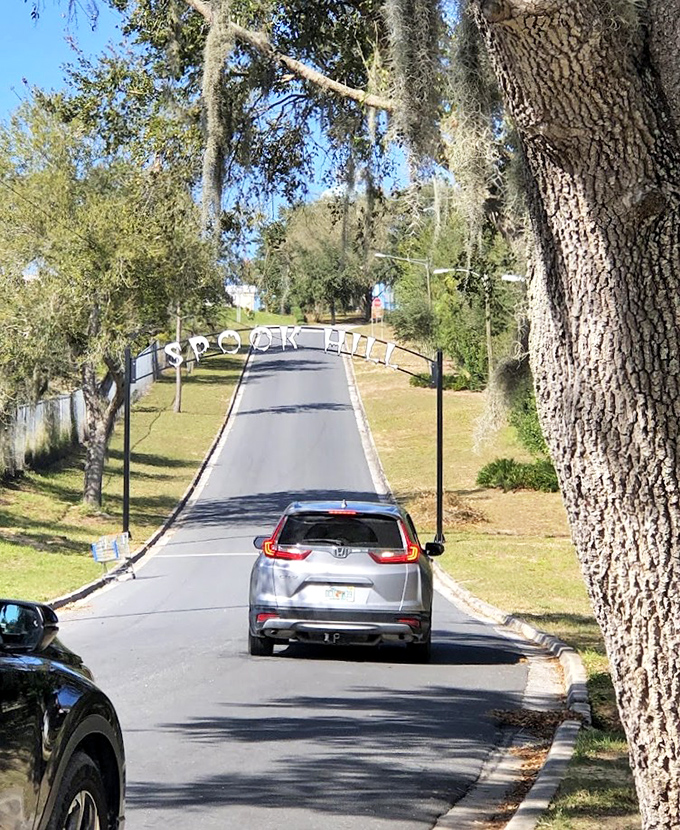 Cars approach Spook Hill, where an ordinary-looking road delights visitors with its famously spooky optical illusion.