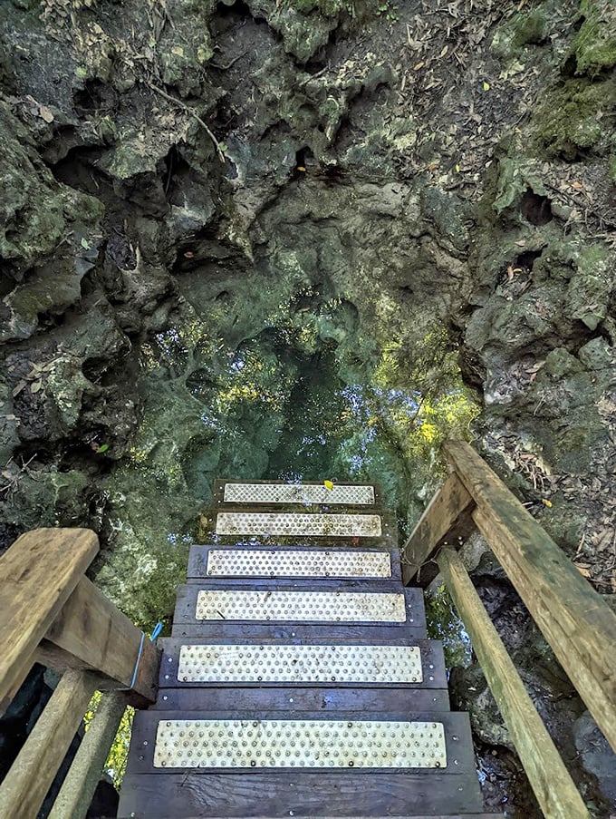 Spring Vent Stair Access: These steps lead to an underwater portal where brave divers can glimpse Florida's hidden underworld of limestone caves and passages.