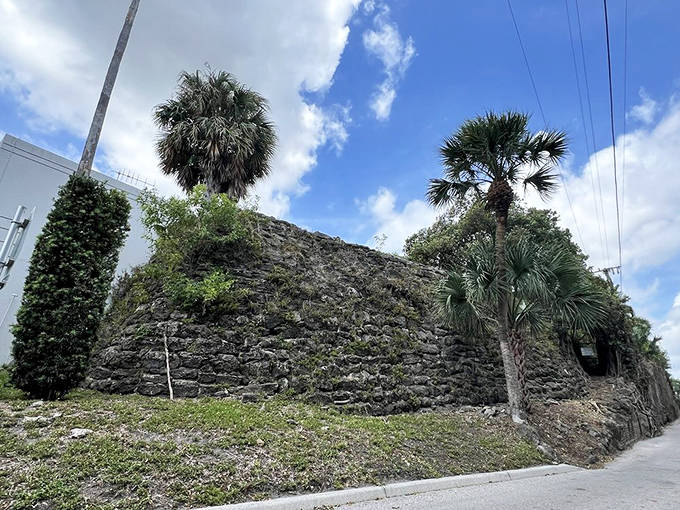 This ancient coral wall stands as a living museum, displaying fossils and geological features dating back millions of years.