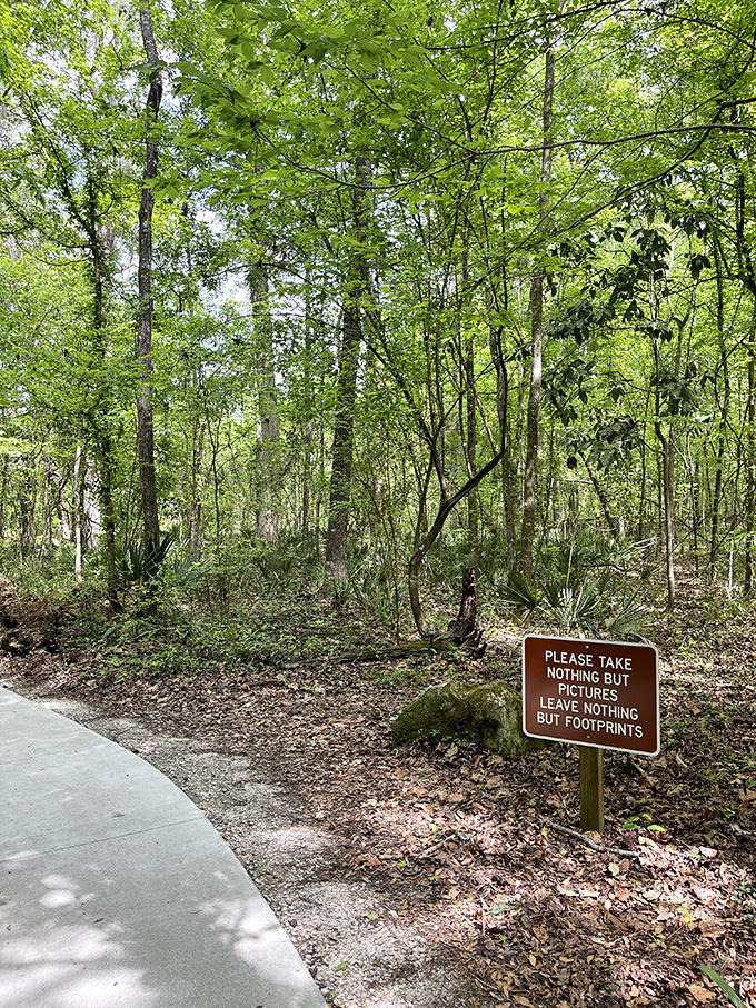 "Take nothing but pictures, leave nothing but footprints" &ndash; this simple philosophy helps preserve the park's natural beauty for future generations.