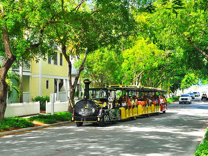 Rolling under a natural green canopy, passengers experience the lush tropical landscape that makes the Keys so magical.