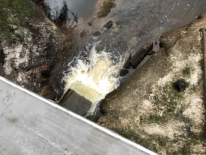 Water still occasionally bubbles up through the spring's outlet, a whisper of the 47,000 daily gallons that once flowed through this natural wonder.