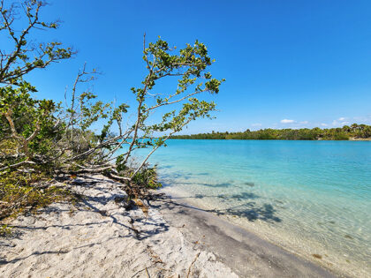 Discover Hidden Sugar-White Beaches On This 11-Mile-Long Island in Florida