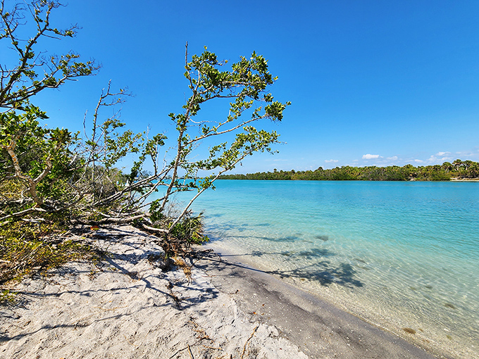 This secluded cove offers nature's version of therapy: warm shallow waters, pristine sand, and not a single email notification.