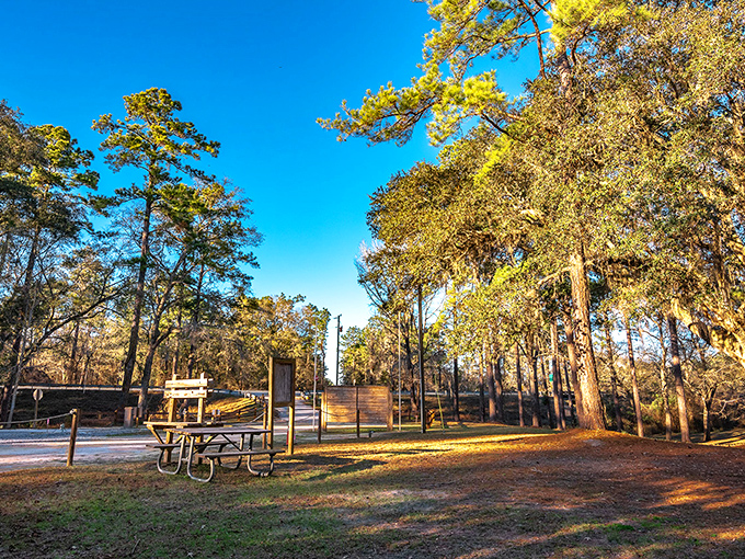 Sun-dappled picnic areas invite visitors to linger longer, proving that sometimes the best vacation moments happen between adventures, not during them.