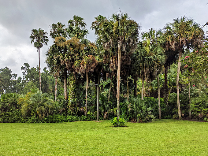 Open green spaces provide breathing room between garden areas, proving that sometimes the best landscape design includes strategic emptiness.