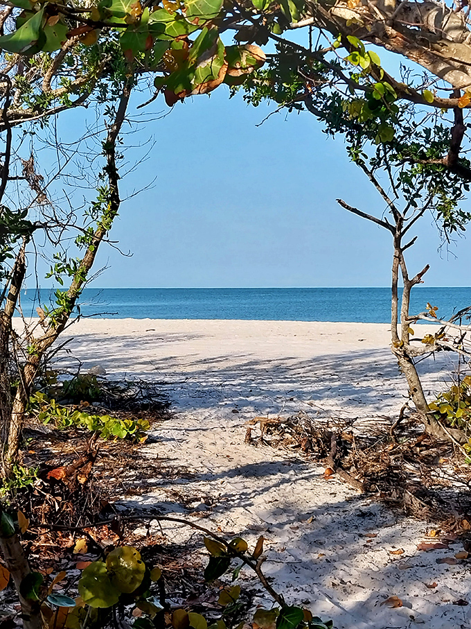 Nature frames the perfect view of Clam Pass Beach, where an archway of coastal vegetation reveals the Gulf's blue waters beyond.