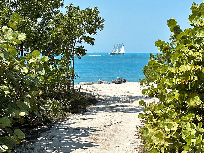 This sandy path feels like the entrance to a secret world, where the ocean's symphony grows louder with each step forward.
