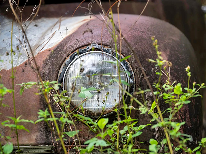 Even the headlight, clouded and weathered, maintains a certain charm that modern plastic lenses just can't match, like a window into automotive history.