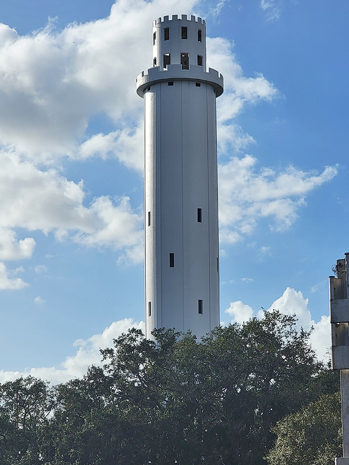 Above the treeline: The tower peeks above Tampa's green canopy like a curious onlooker, keeping watch over the city's ever-changing landscape with timeless dignity.
