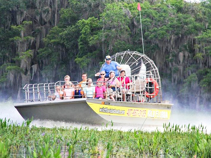 Airboats skim across the water's surface, taking adventurers deep into Florida's wetland wilderness for unforgettable wildlife encounters.