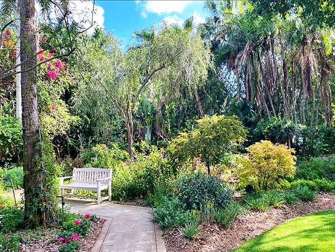 A solitary bench offers the perfect invitation to pause, surrounded by carefully curated greenery and dappled shade.