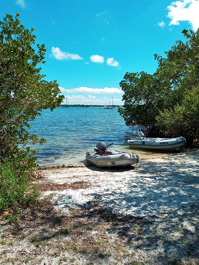 Small boats find shelter among mangrove tunnels, perfect launching points for exploring the island's less accessible shorelines.