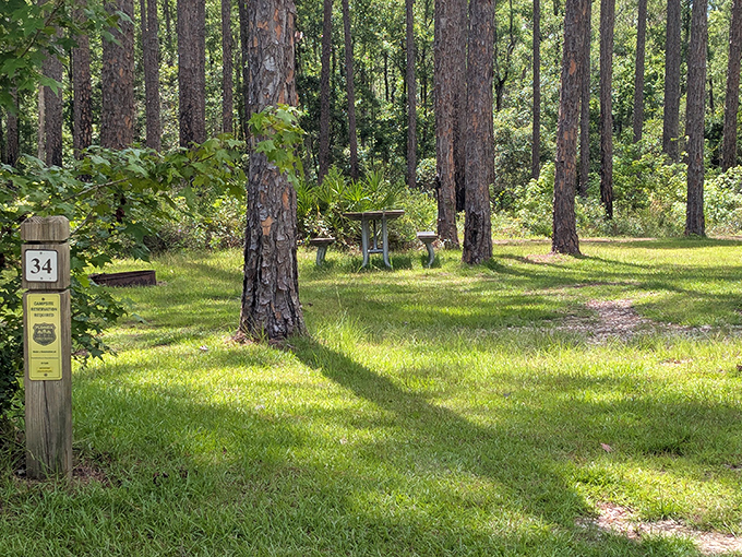 Campsite #34 beckons adventure-seekers to spend a night under stars, where owls replace alarm clocks and pine needles cushion dreams.