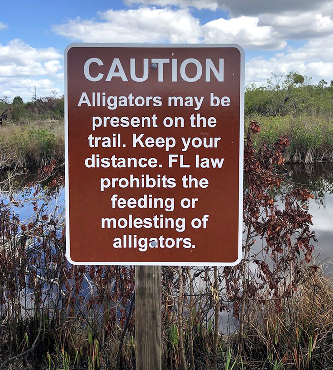 The most honest warning sign in Florida – these prehistoric residents don't care about your vacation plans or your Instagram feed.