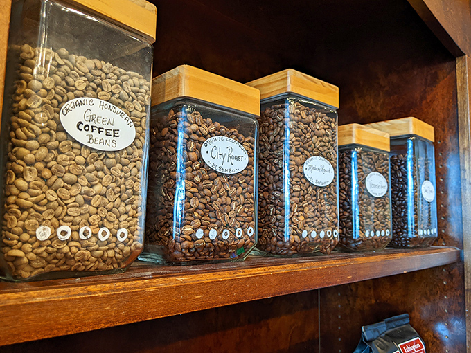 Beans await their transformation, each variety telling the story of its origin through distinctive flavor profiles.