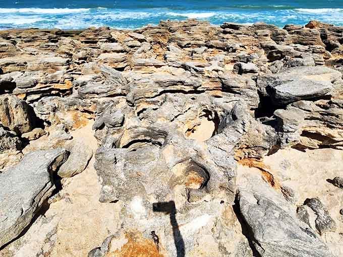 Nature's tidal pools form temporary aquariums where curious visitors can discover miniature marine worlds between the waves.