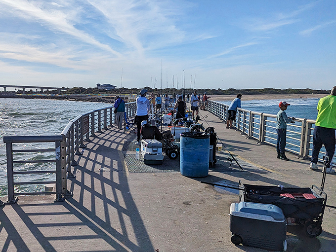Fishing enthusiasts line the pier, each hoping for the big catch story they'll embellish for years to come.
