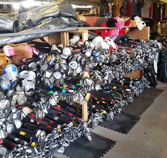 A golfer's dream or a collector's paradise? These meticulously arranged clubs wait for their next round on Florida's sun-drenched courses.