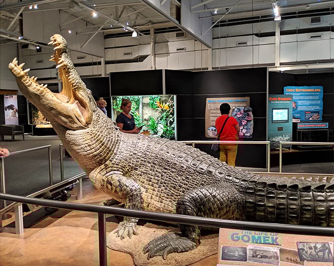 This massive crocodile replica makes you grateful for modern footwear and the invention of zoos with proper enclosures and safety barriers.