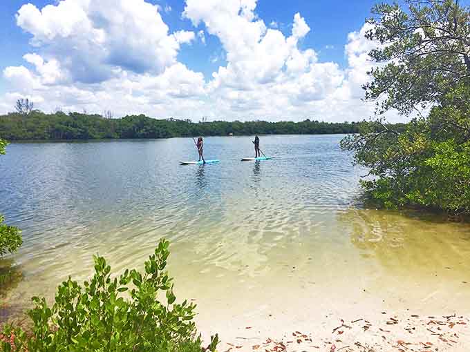 Stand-up paddleboarders glide across mirror-like waters, finding that perfect balance between adventure and serenity in Fort De Soto's aquatic playground.