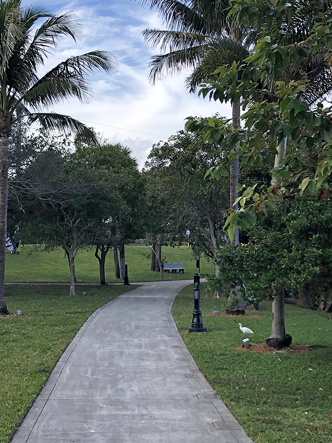 Winding invitation: This pathway curves through manicured greenery like a gentle suggestion that the best discoveries happen when you follow the bend.