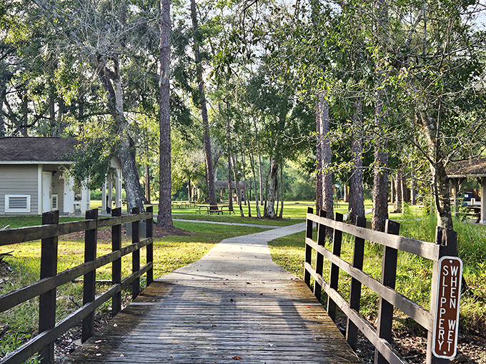 This inviting wooden bridge connects worlds – from everyday concerns to the timeless peace of Highlands Hammock's natural sanctuary.