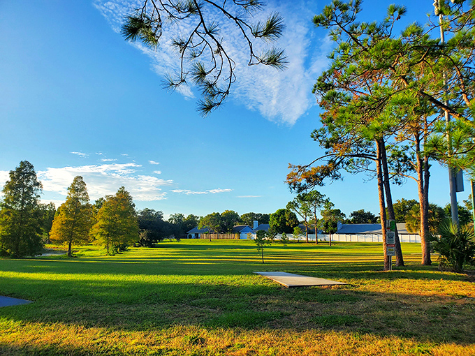 Green therapy session: Sheffield Park's open spaces offer the kind of tranquility that expensive meditation apps try to replicate but can never quite capture.