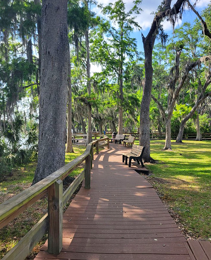 Nature's perfect walking path meanders beneath a canopy of trees, offering exercise enthusiasts scenic routes and plenty of shade.