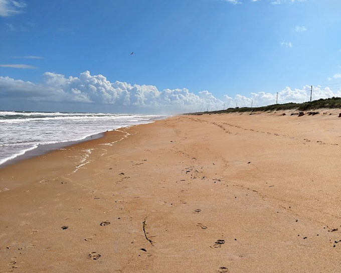 Pristine shoreline stretches to the horizon, where the Atlantic meets Florida's coast in a timeless dance of waves and sand.