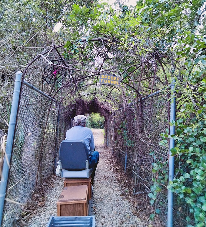 The "Spider Tunnel" offers a thrilling passage through vine-covered pathways. It's just spooky enough to elicit squeals of delight from passengers young and old.