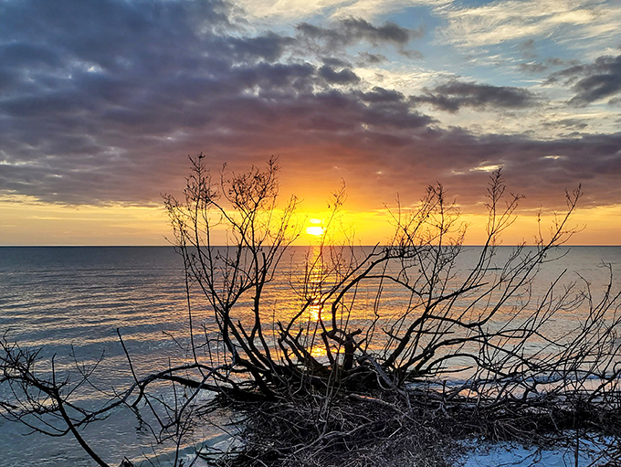 Sunsets here transform the sky into a color palette that seems almost aggressive in its beauty, making every evening feel like a special occasion.