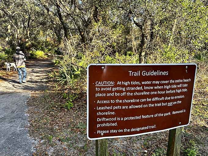 Important warnings for adventurers: respect the tides, keep pets leashed, and remember that even driftwood deserves protection.