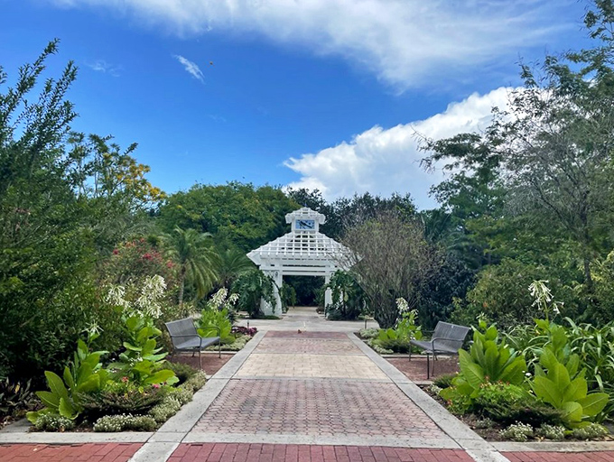 The tropical stream garden transports visitors to a rainforest paradise, complete with exotic plants that belong in a nature documentary.
