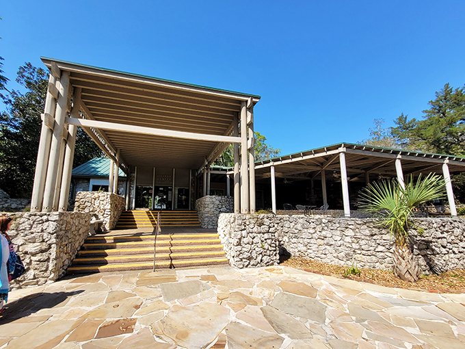 Mid-century modern meets Old Florida in this welcoming gateway to underwater wonders and cascading surprises.