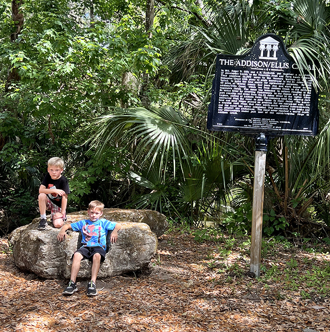 Young explorers discover that nature's playground doesn't need an app update. Their smiles are the real photo opportunity.