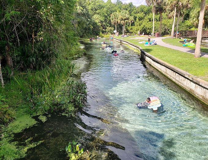 Visitors float along nature's lazy river, carried by currents that have flowed unchanged for centuries.