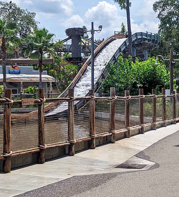 Water slides at a zoo might seem unusual until you experience one, then suddenly it makes perfect sense and you're wondering why every zoo doesn't have them.