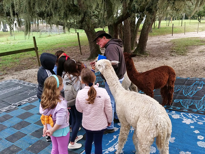 Educational moments bloom at LunaSea, where children discover the joy of connecting with animals in a respectful environment.