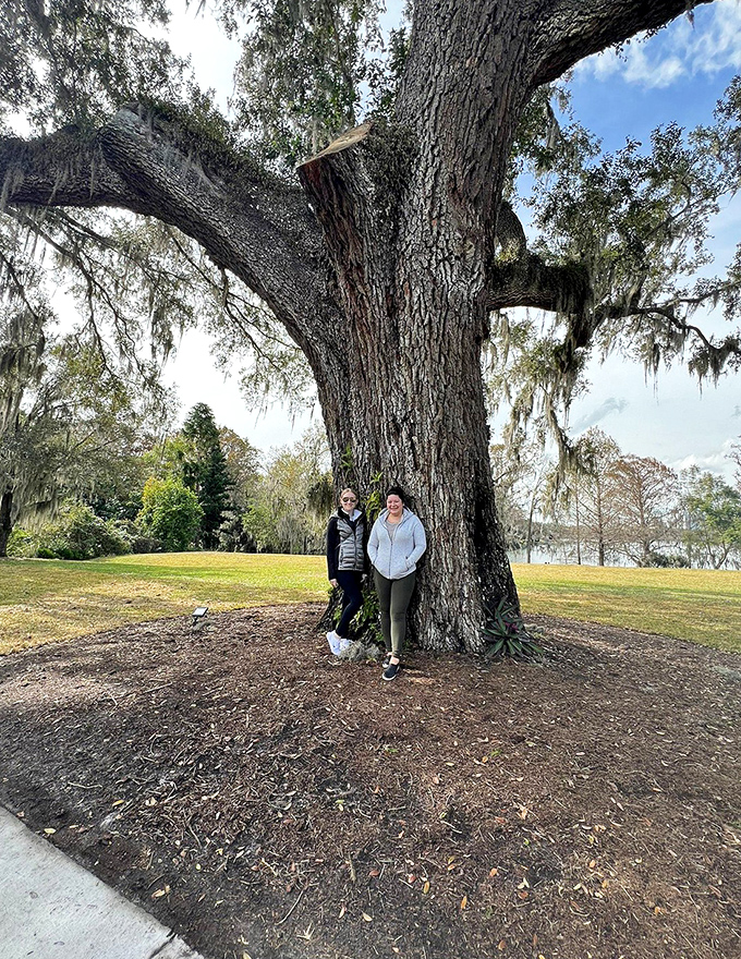 Even the mightiest oak trees began as tiny acorns &ndash; a humbling reminder of nature's patience as visitors stand beside these gentle giants.