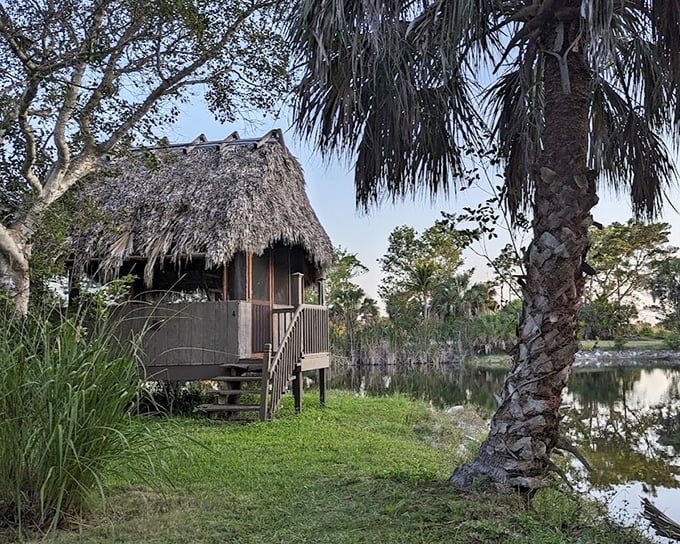 A traditional chickee hut stands at water's edge, connecting modern visitors to the area's rich indigenous heritage.
