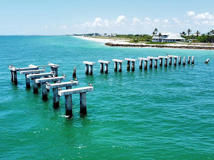 These stoic remnants of an old pier create a perfect frame for pelicans and fishermen alike, both patiently waiting for their catch.