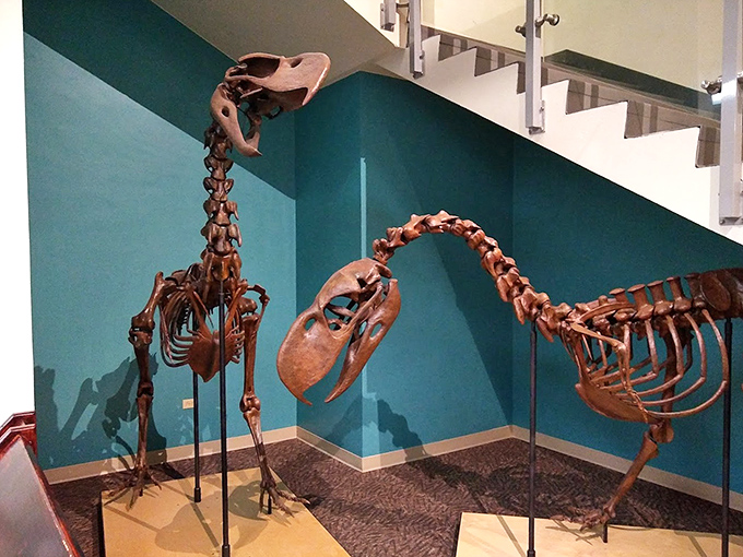 Bishop Museum combines prehistoric exhibits with hands-on learning experiences for all ages.