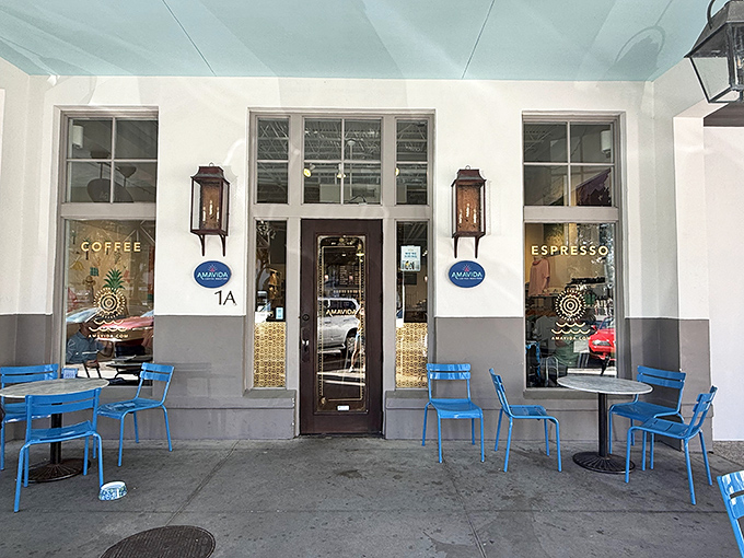 Amavida Coffee provides the perfect morning fuel station, where baristas create latte art worthy of gallery walls.asters