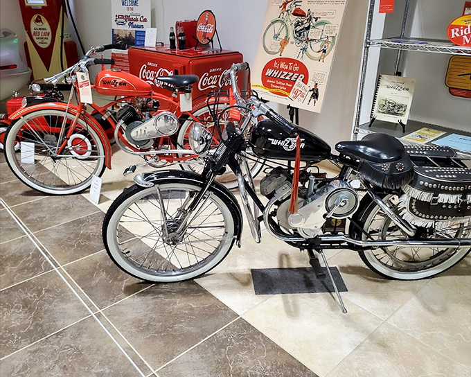 Vintage cars sit quietly among muscle cars &ndash; no flux capacitor needed when the entire museum is a time machine to automotive glory days.