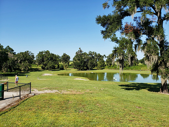 Even four-legged visitors find their happy place in DeLand, with this scenic dog park offering plenty of room for canine companions to frolic.