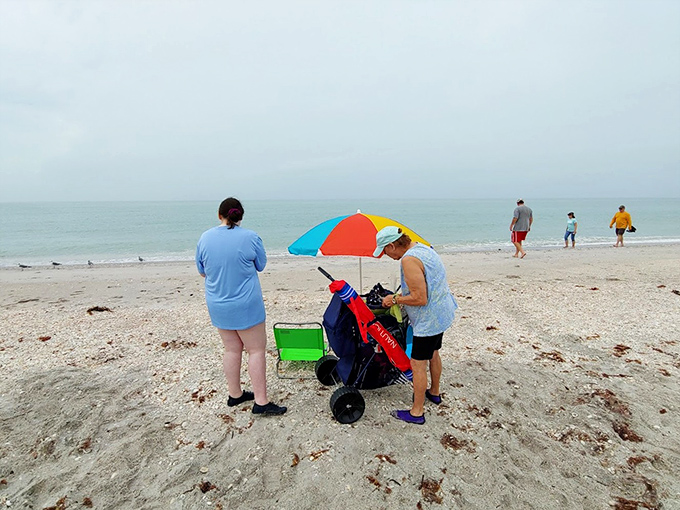 Beach day essentials for serious shell hunters – comfortable chairs, sun protection, and wheeled carts make a day of collecting more enjoyable.