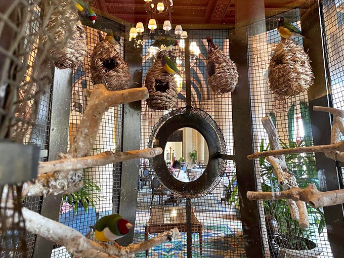 Even the birds at the Biltmore have upscale accommodations &ndash; these feathered residents are living better than most first-apartment humans.