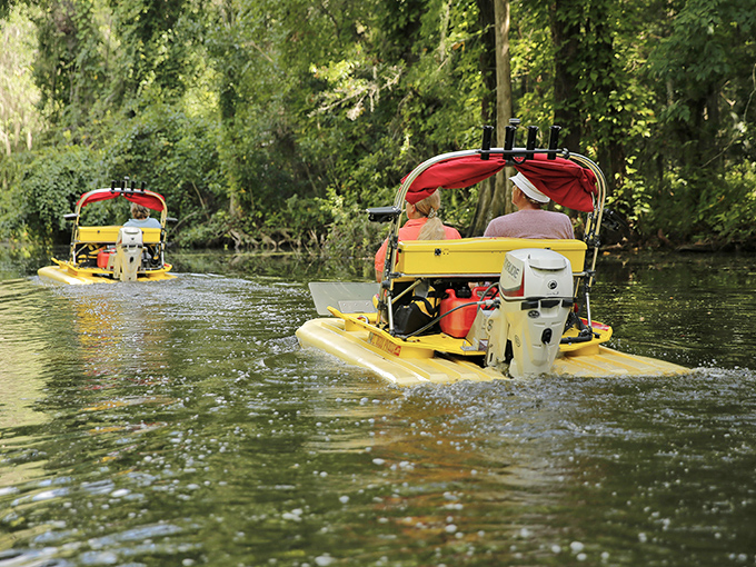 These specialized watercraft allow visitors to explore the canal's narrower passages, where larger boats can't venture and wildlife viewing is at its best.