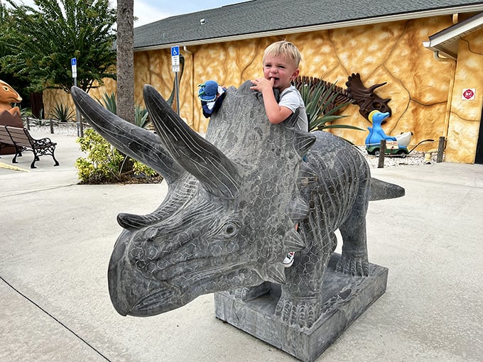This young explorer has found his prehistoric throne, already practicing his "I rule the Cretaceous period" face for future paleontological endeavors.